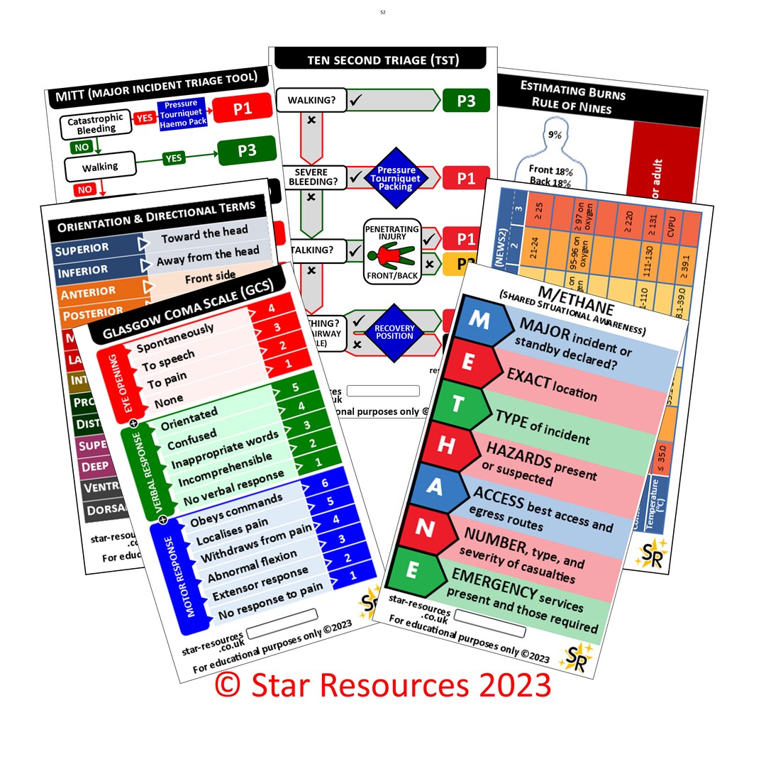 Set 1 Patient Assessment ID Badge Flash Cards Student Nurses ...