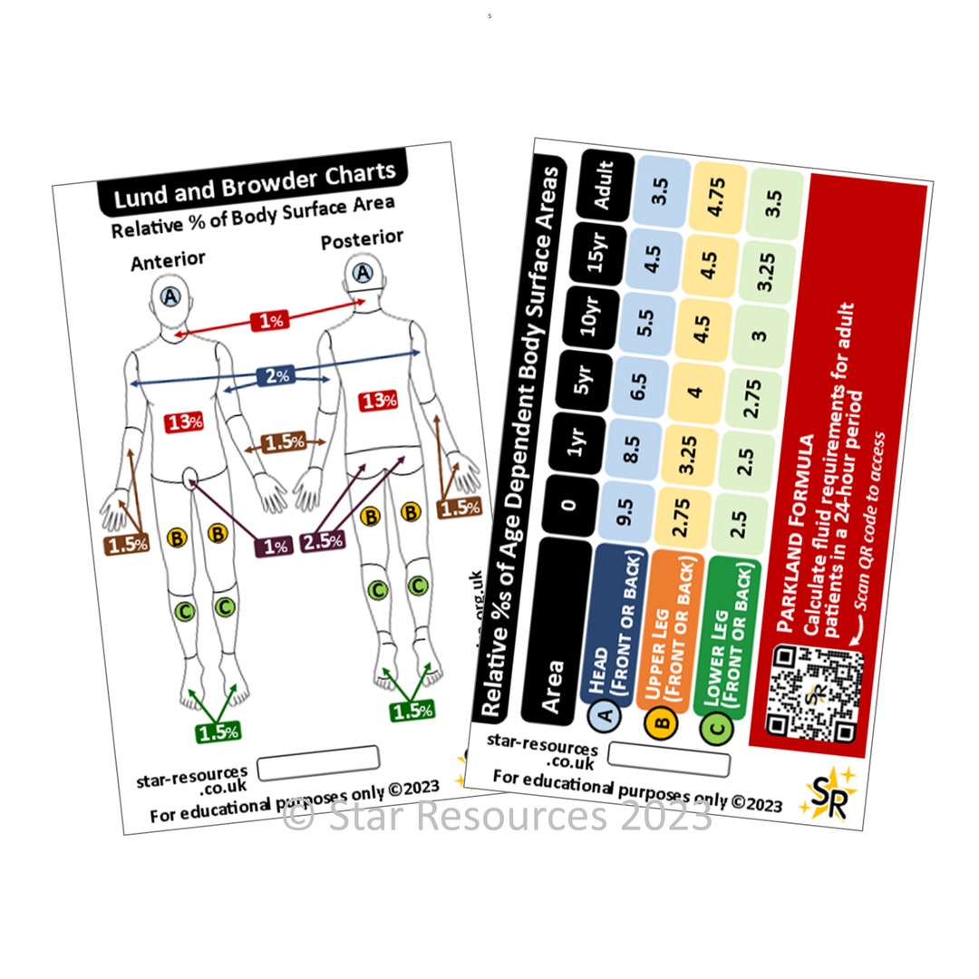 Lund & Browder Burns ID Badge Flash Card Student Nurse Paramedics ...