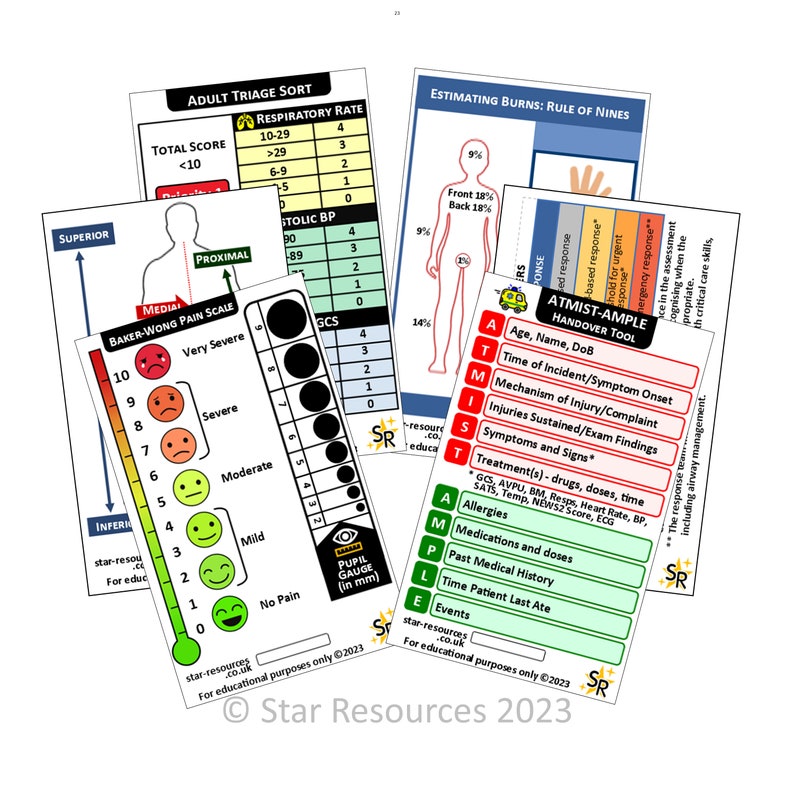 Set 1 Patient Assessment ID Badge Flash Cards Student - Etsy