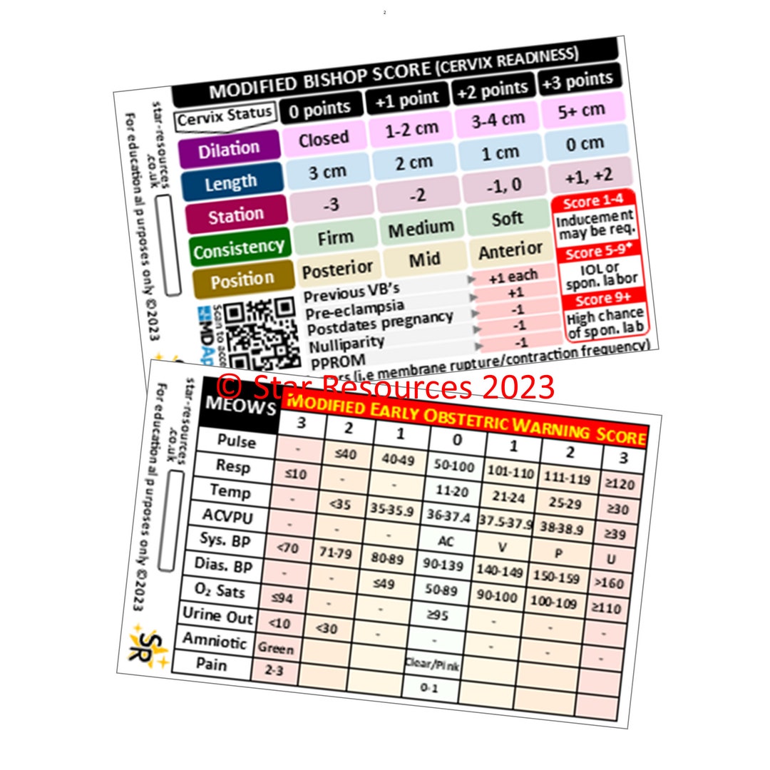 Modified Bishop Score and MEOWS Badge Flash Card Nurse Student Midwife ...