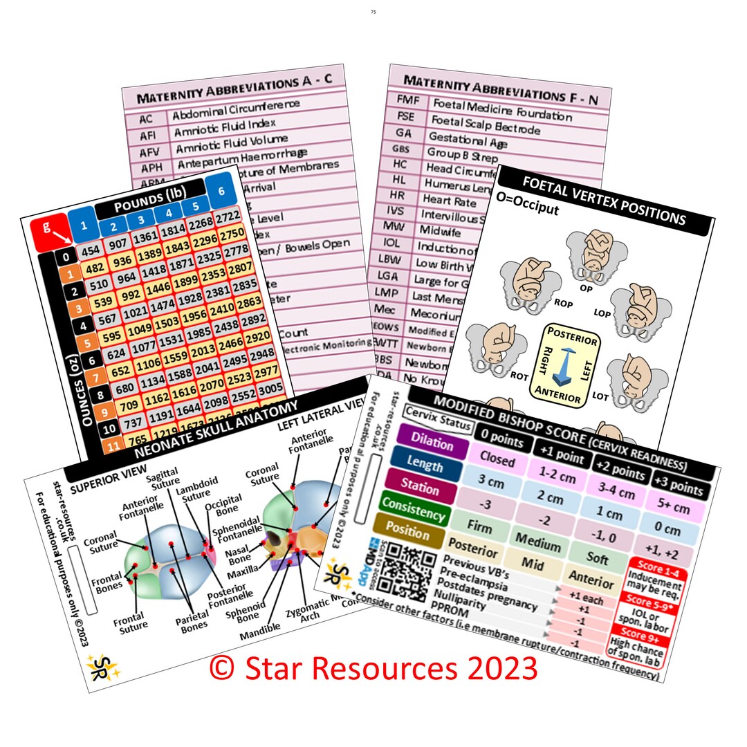 Set 5 Maternity Badge Flash Cards Student Nurses Midwives - Etsy