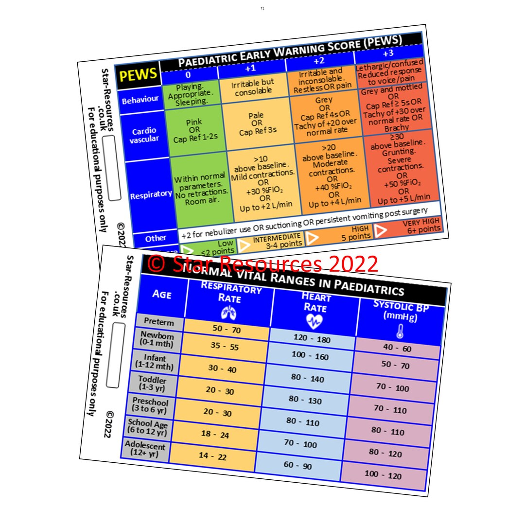 PEWS / Paediatric Vital Stat Ranges ID Badge Flash Card Nurse Student ...