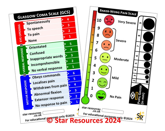 SBAR & Glasgow Coma Scale Badge Card for Student Nurses, Medical ...