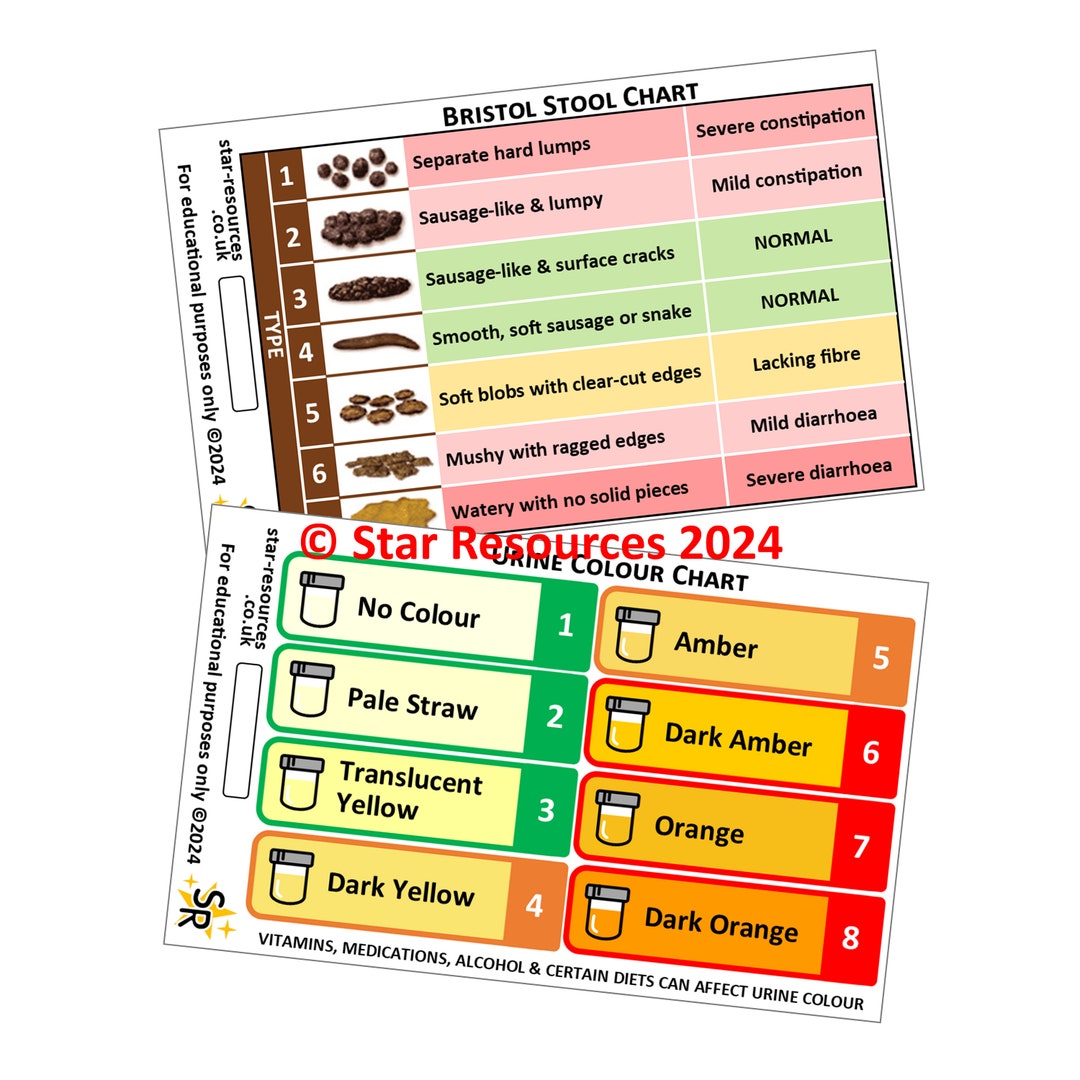 Bristol Stool and Urine Colour Charts ID Badge Flash Card Nurse Student ...