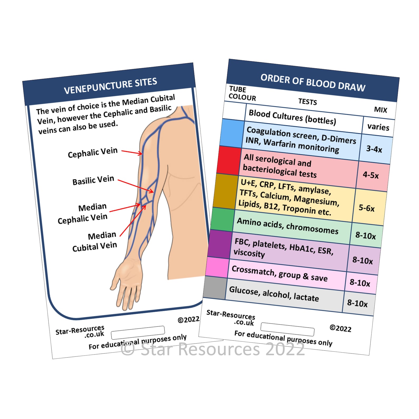 Order of Blood Draw/best Venepuncture Sites ID Badge Flashcard - Etsy UK