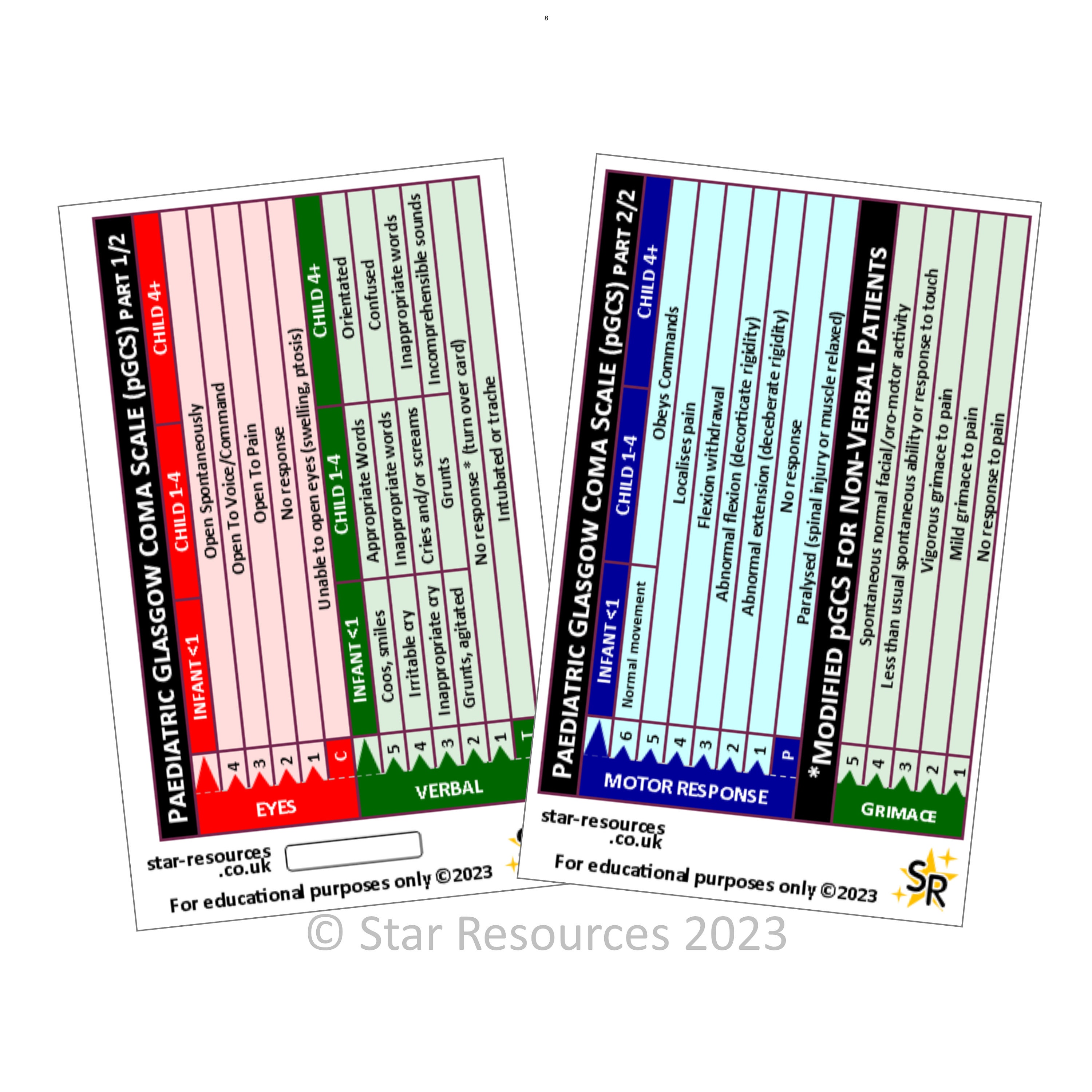 Paediatric Glasgow Coma Scale pgcs ID Badge Flash Card - Etsy UK