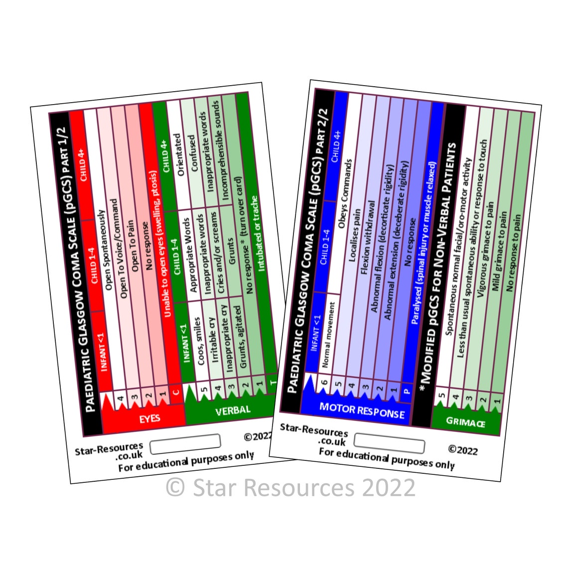 Paediatric Glasgow Coma Scale pgcs ID Badge Flash Card - Etsy UK