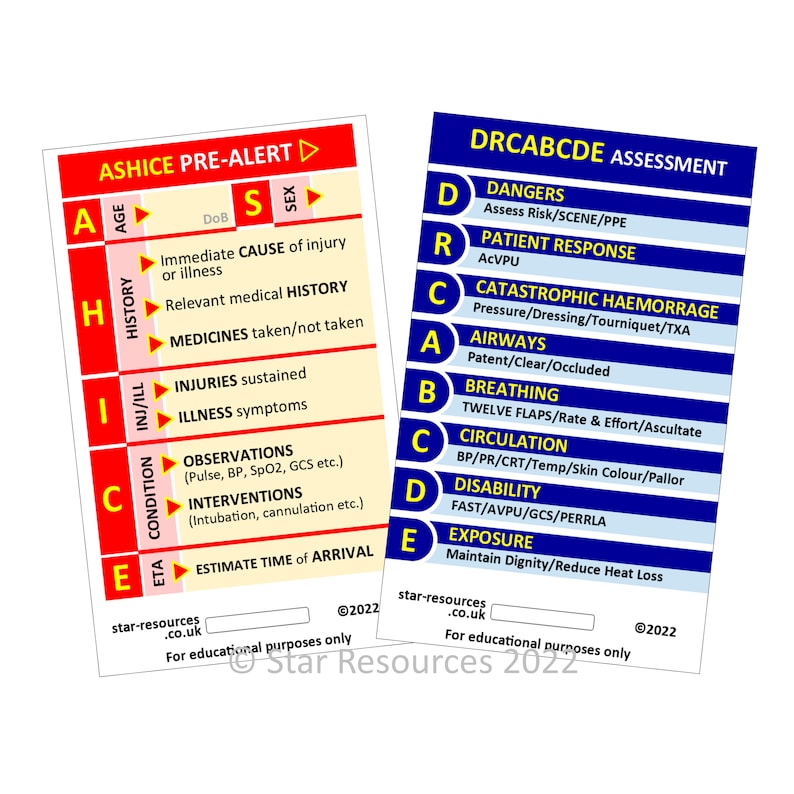 ASHICE and DRCABCDE Id Badge Flash Card Nurse Student - Etsy Australia