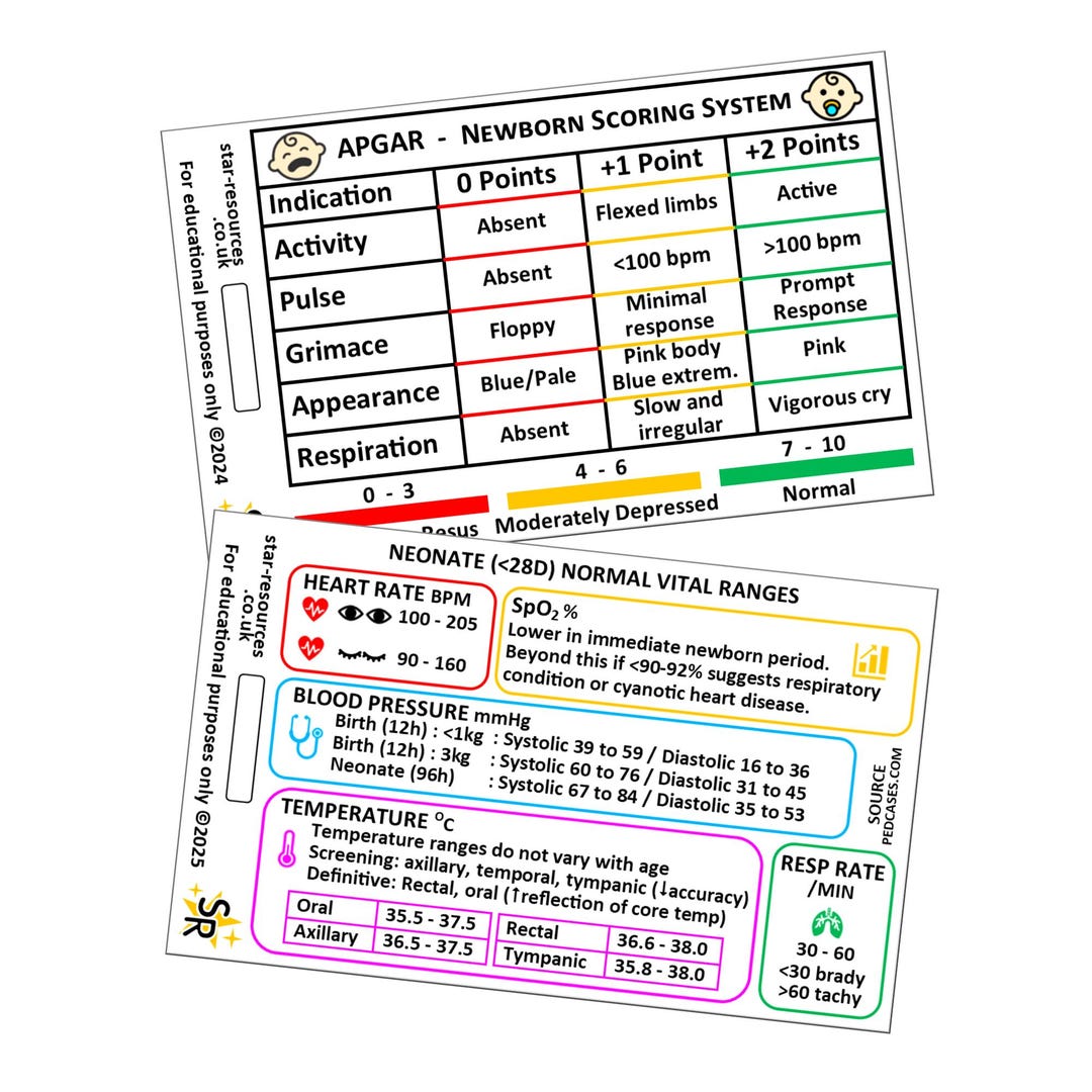 APGAR ID Badge Card | Neonatal Vital Signs & APGAR Reference ...