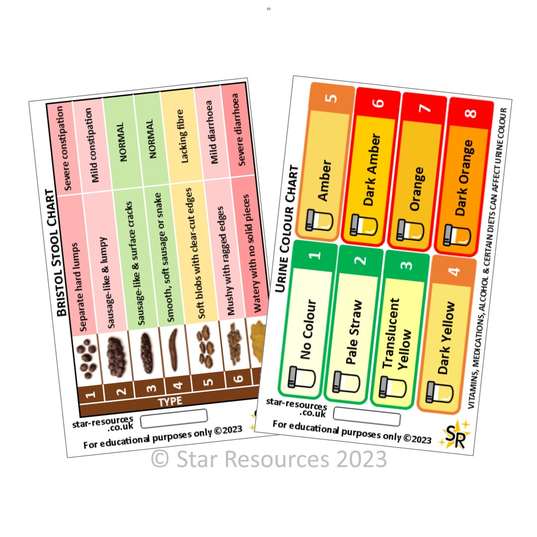 Bristol Stool and Urine Colour Charts ID Badge Flash Card - Etsy UK