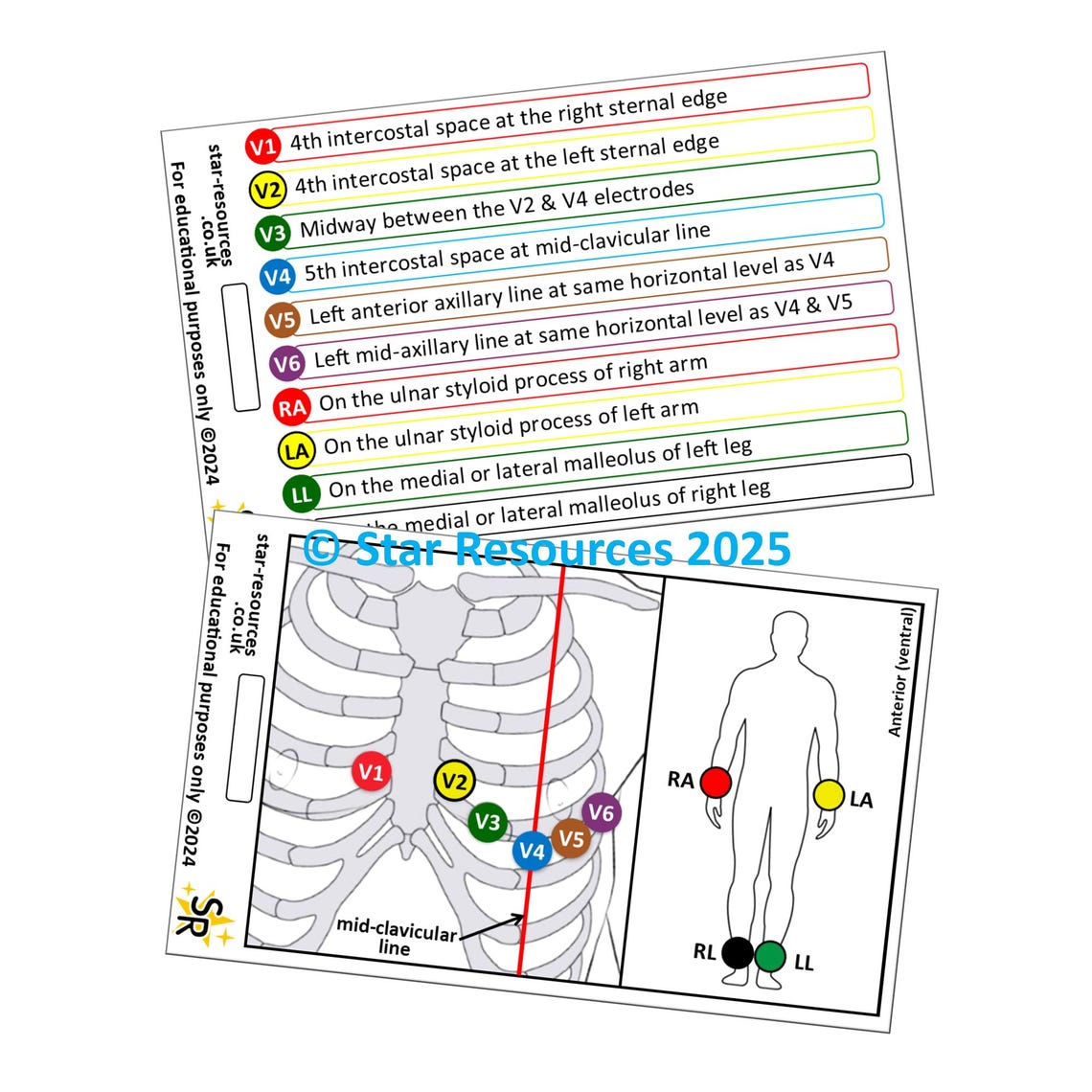 ECG Lead Placement ID Badge Flash Cards Student Paramedics Ambulance - Etsy
