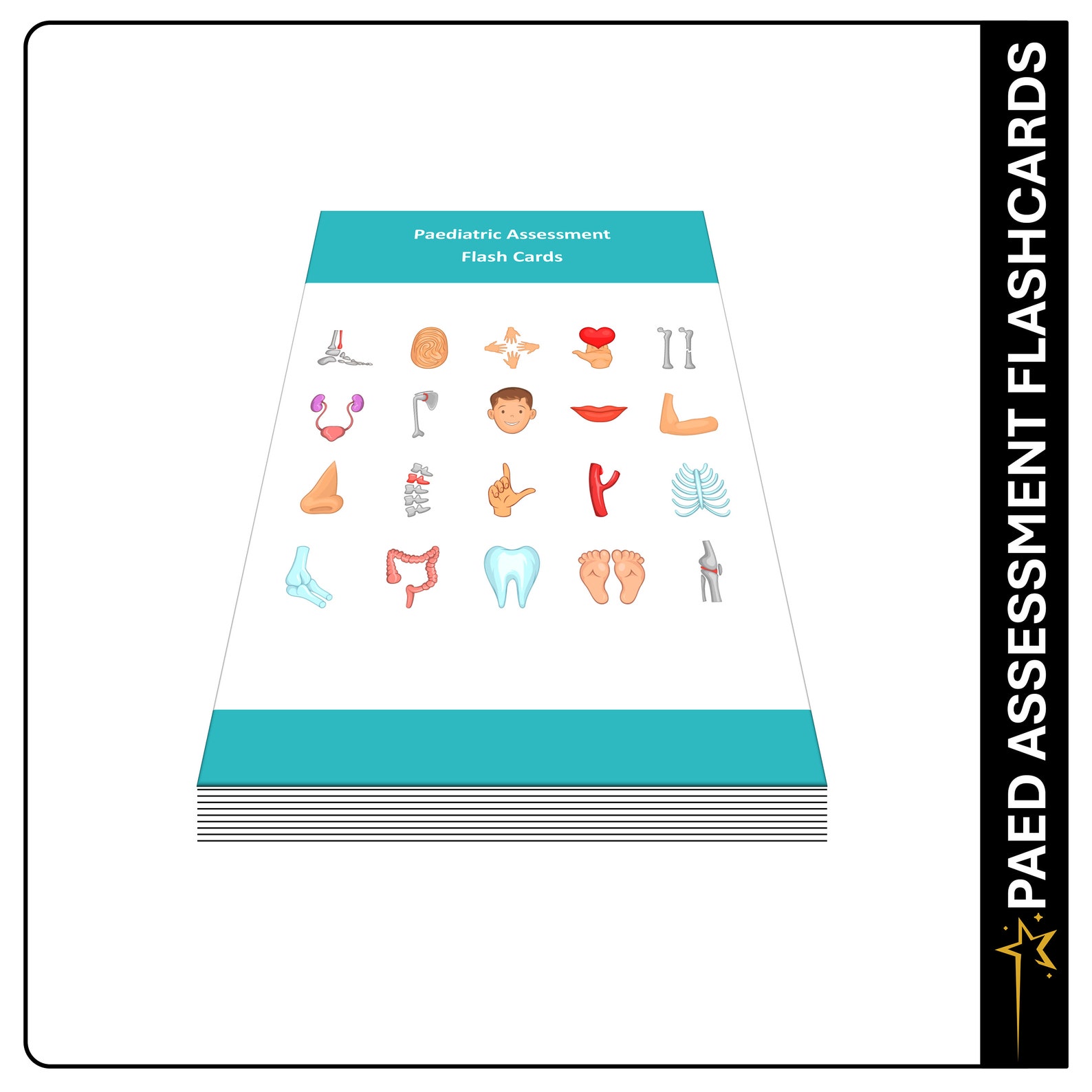 Paediatric Assessment Revision Flash Cards: Medical Student Study Aid ...