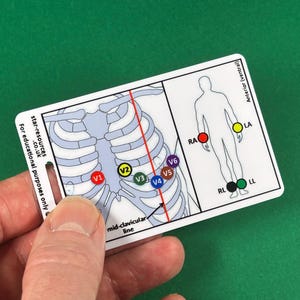 ECG Lead Placement ID Badge Flash Cards Student Paramedics Ambulance - Etsy