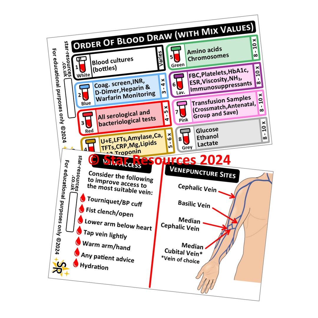 Order of Blood Draw/best Venepuncture Sites ID Badge Flashcard Student ...