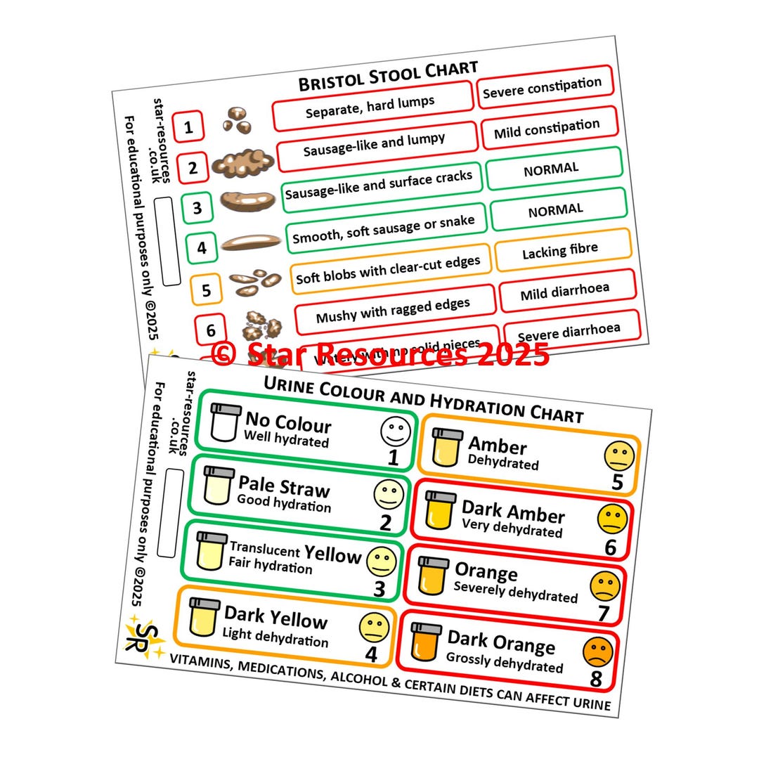 Bristol Stool and Urine Colour Charts ID Badge Card | Paramedic ...