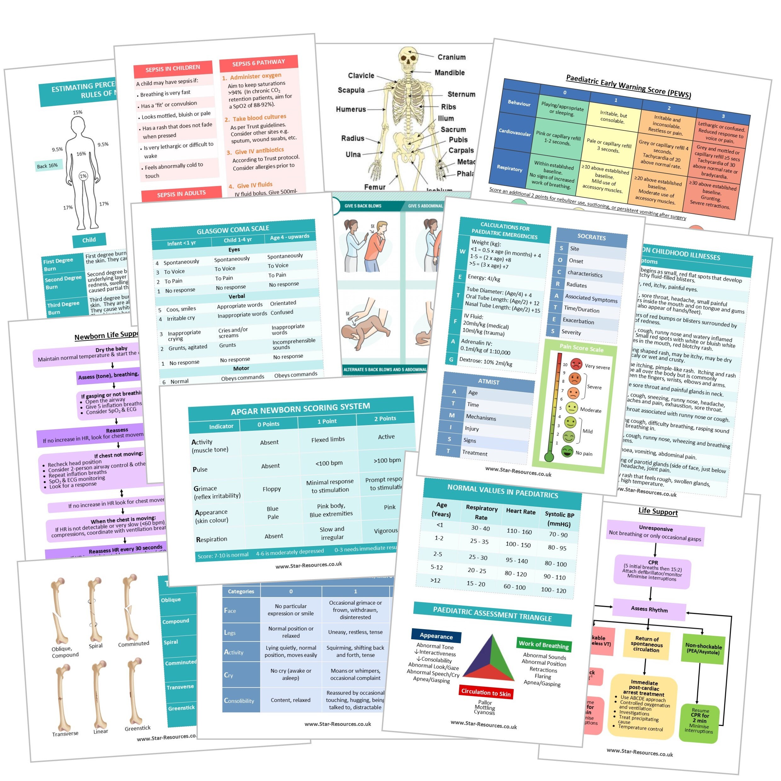 Paediatric Patient Assessment Revision Flash Cards - Paramedic, Student ...
