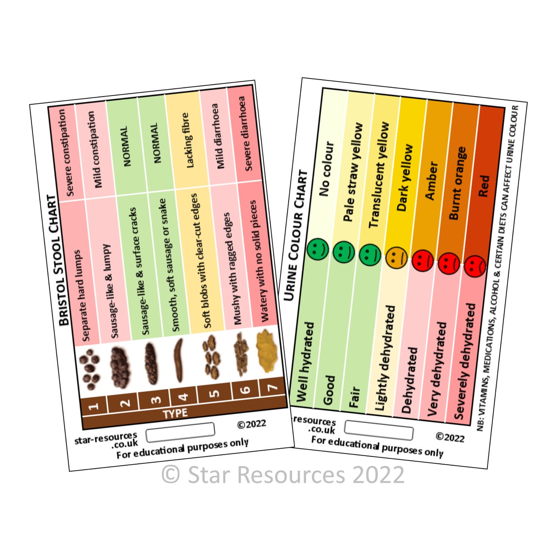 Bristol Stool and Urine Colour Charts ID Badge Flash Card - Etsy UK
