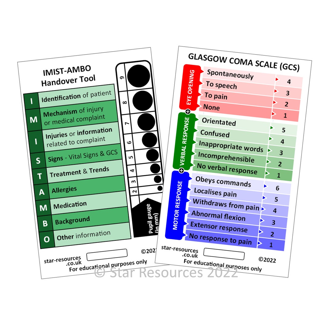 Glasgow Coma Scale & IMIST-AMBO Handover Tool ID Badge Flash - Etsy Ireland