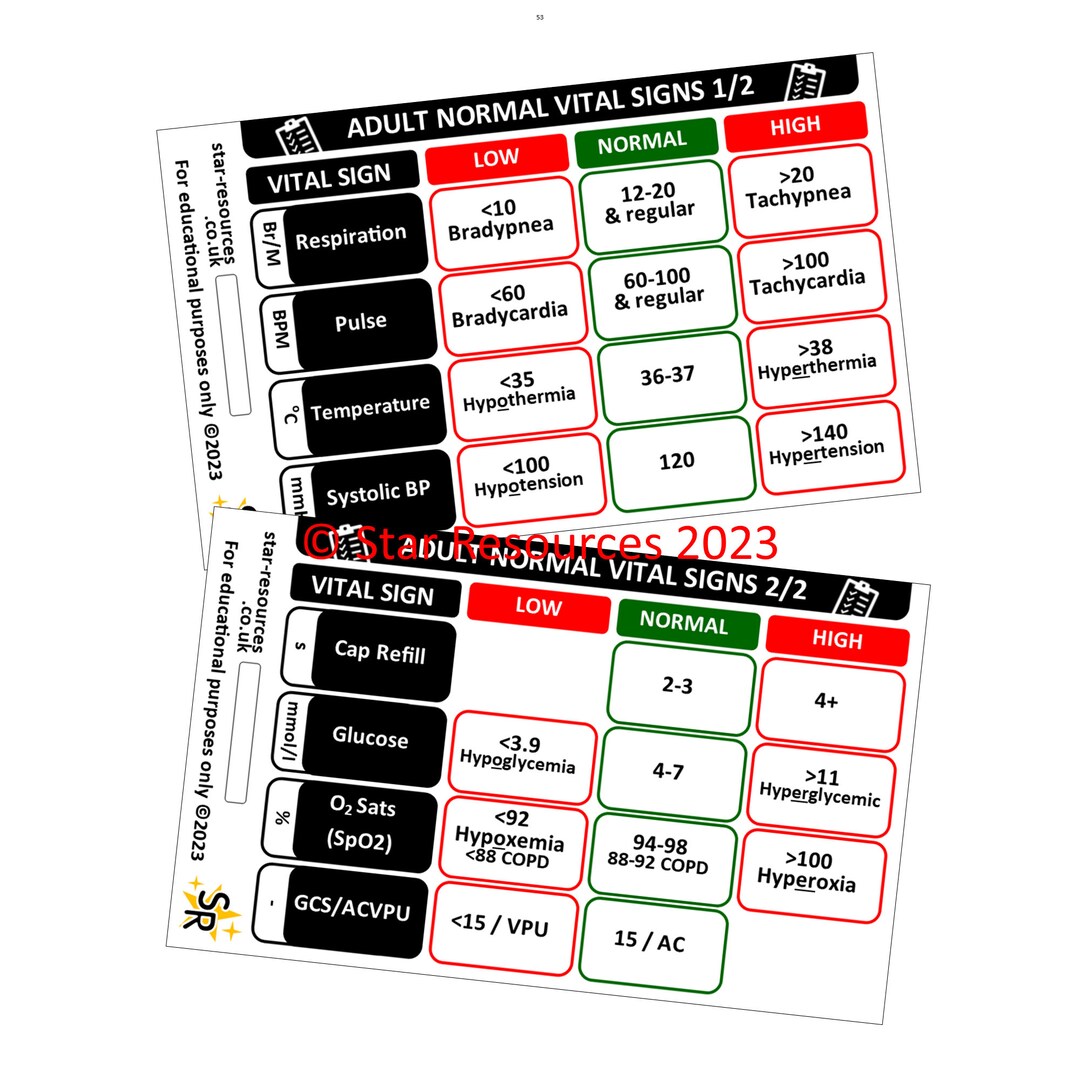 Adult Normal Vital Signs ID Badge Flash Card Student Paramedics ...