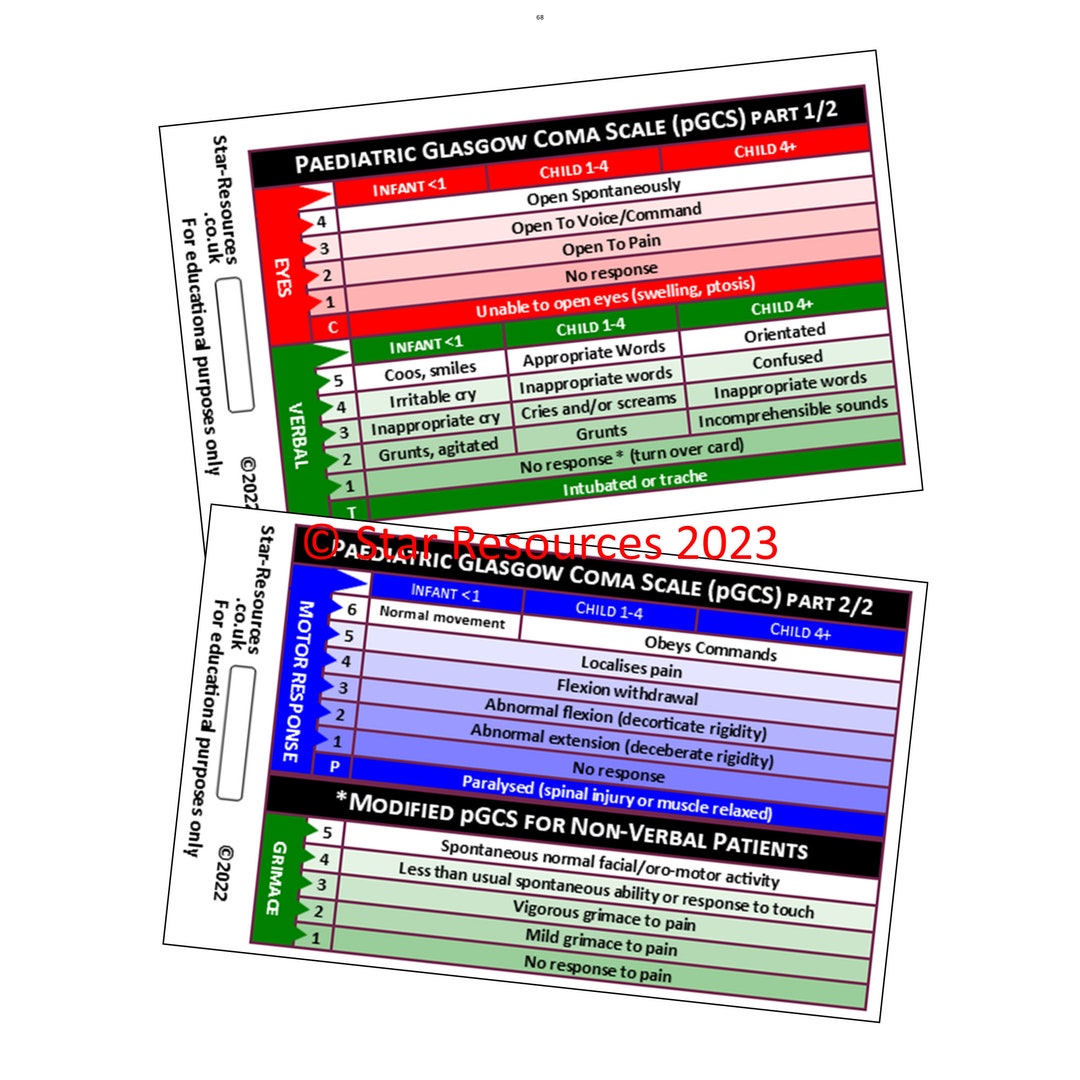 Paediatric Glasgow Coma Scale pgcs ID Badge Flash Card - Etsy UK