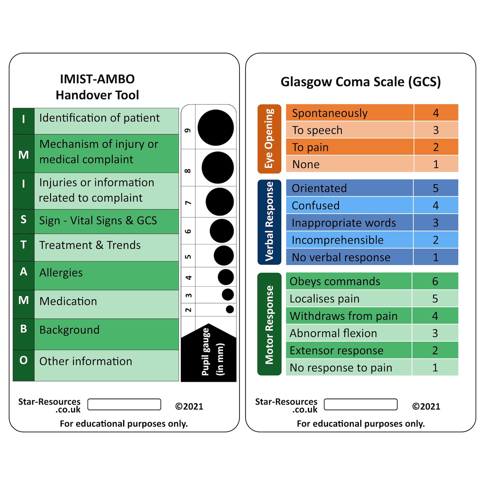 Glasgow Coma Scale & IMIST-AMBO Handover Tool ID Badge Flash | Etsy