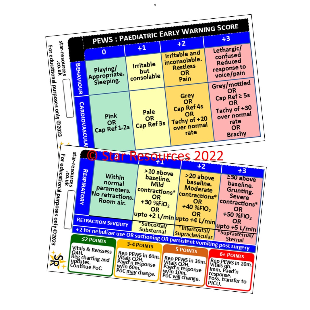 PEWS ID Badge Flash Card Nurse Student Paramedic FREC Ambulance - Etsy UK