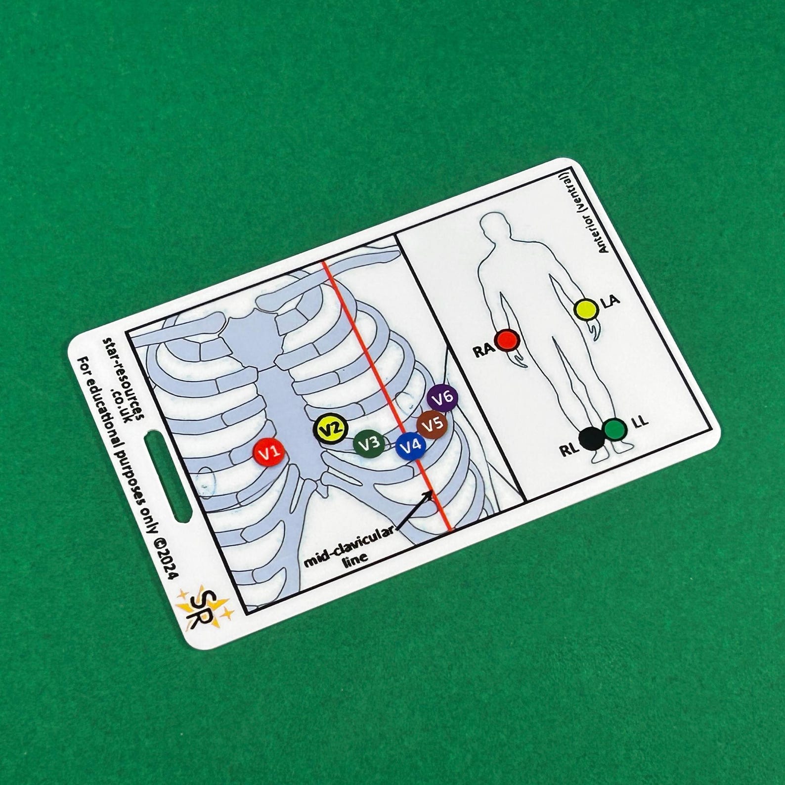 ECG Lead Placement ID Badge Flash Cards Student Paramedics Ambulance - Etsy