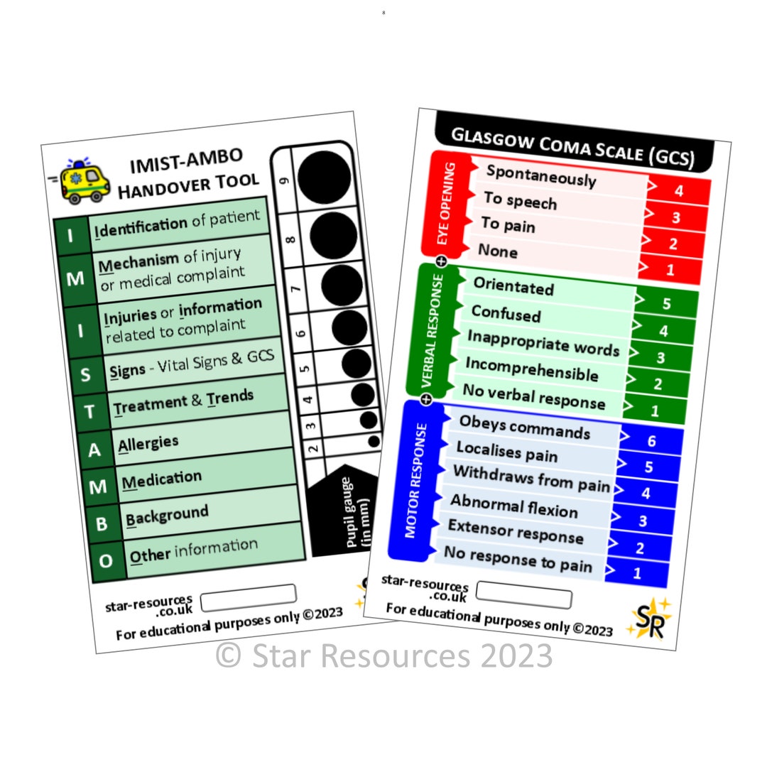 Glasgow Coma Scale & IMIST-AMBO Handover Tool ID Badge Flash - Etsy Canada