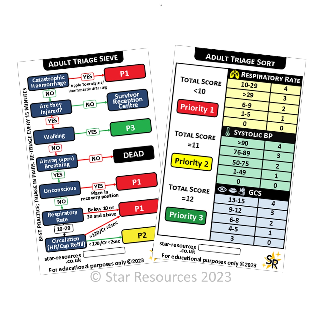 Adult Triage Sieve and Sort ID Badge Flash Card Student - Etsy