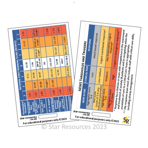Glasgow Coma Scale & IMIST-AMBO Handover Tool ID Badge Flash - Etsy Israel