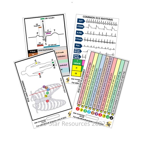 Glasgow Coma Scale & IMIST-AMBO Handover Tool ID Badge Flash - Etsy Israel