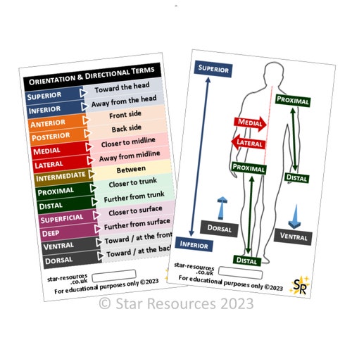 Methane/atmist Ample ID Badge Flash Card Student Paramedics - Etsy UK