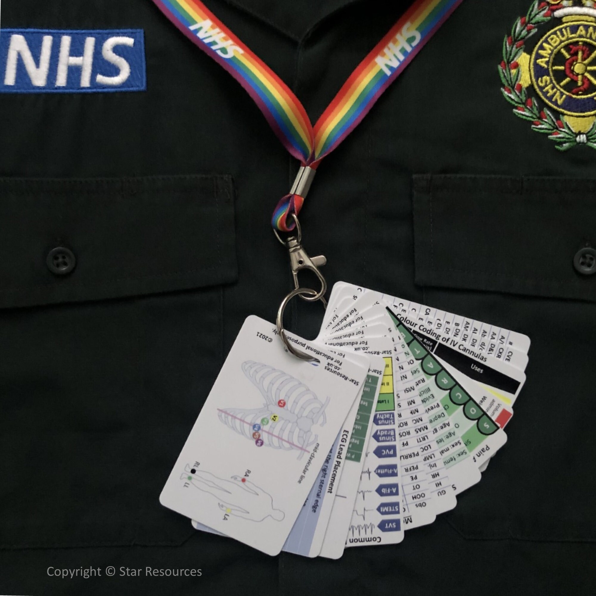 Set 2 Patient Assessment Badge Flash Cards Student Nurses - Etsy UK