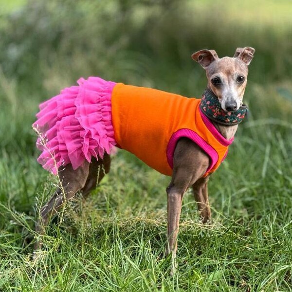 Greyhound Dog Dress - Etsy