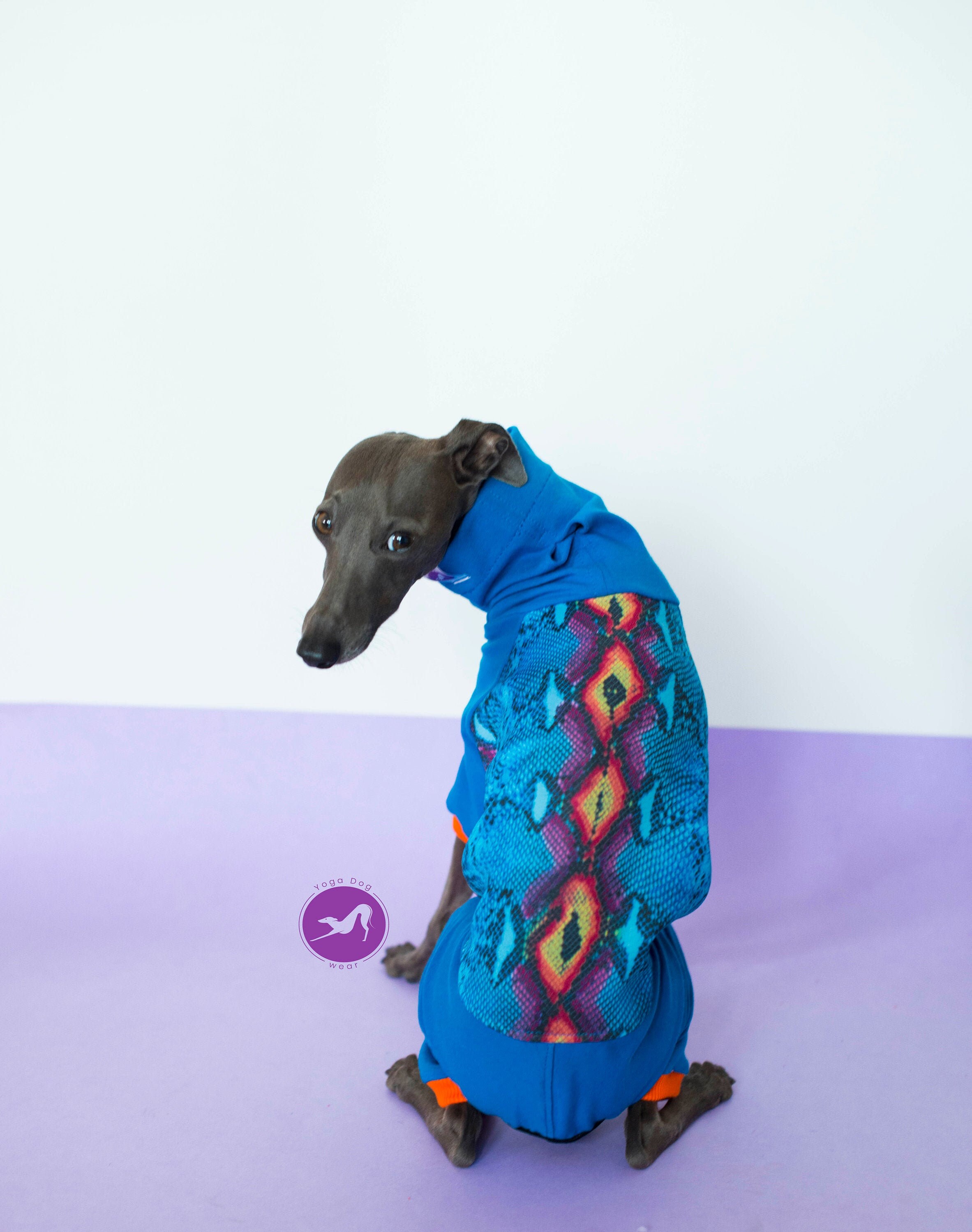 Italian Greyhound Rainbow Snake Jumper / Iggy Jumper/ Italian - Etsy UK