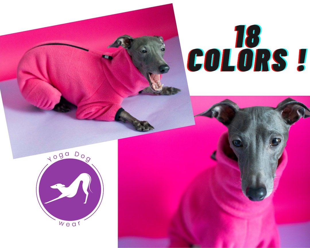 Italian Greyhound Clothing / 18 Colors / Iggy Jumper / Zipper/ Iggy ...