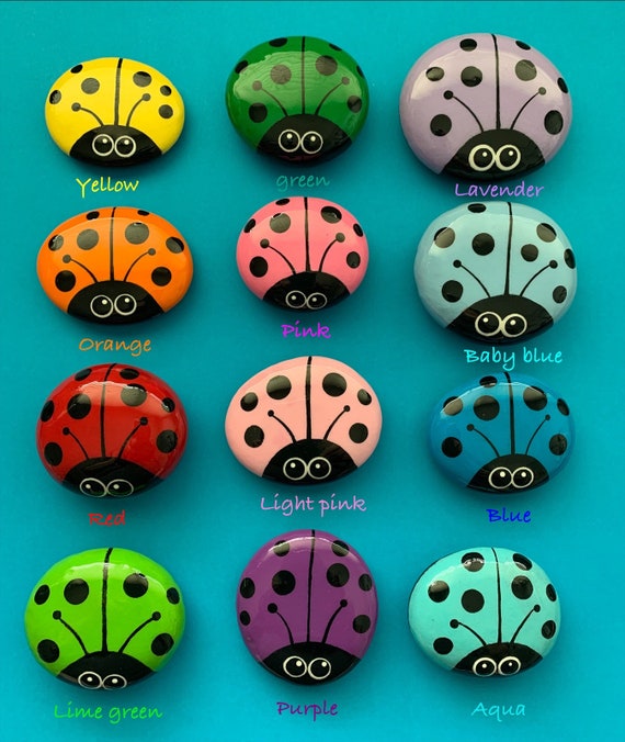 Real Ladybugs Colors