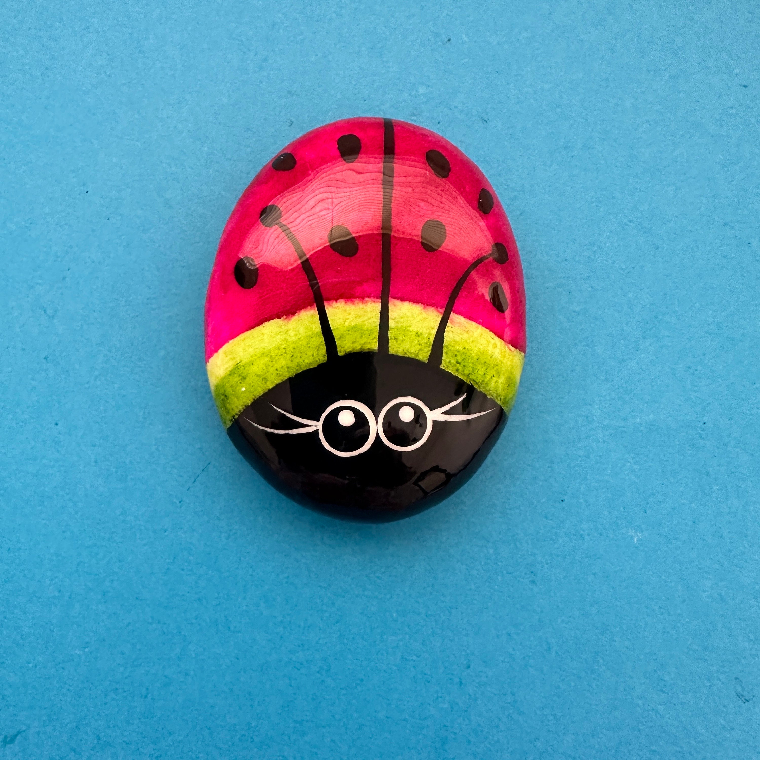 Watermelon Lorybugrocks Ladybug - Etsy