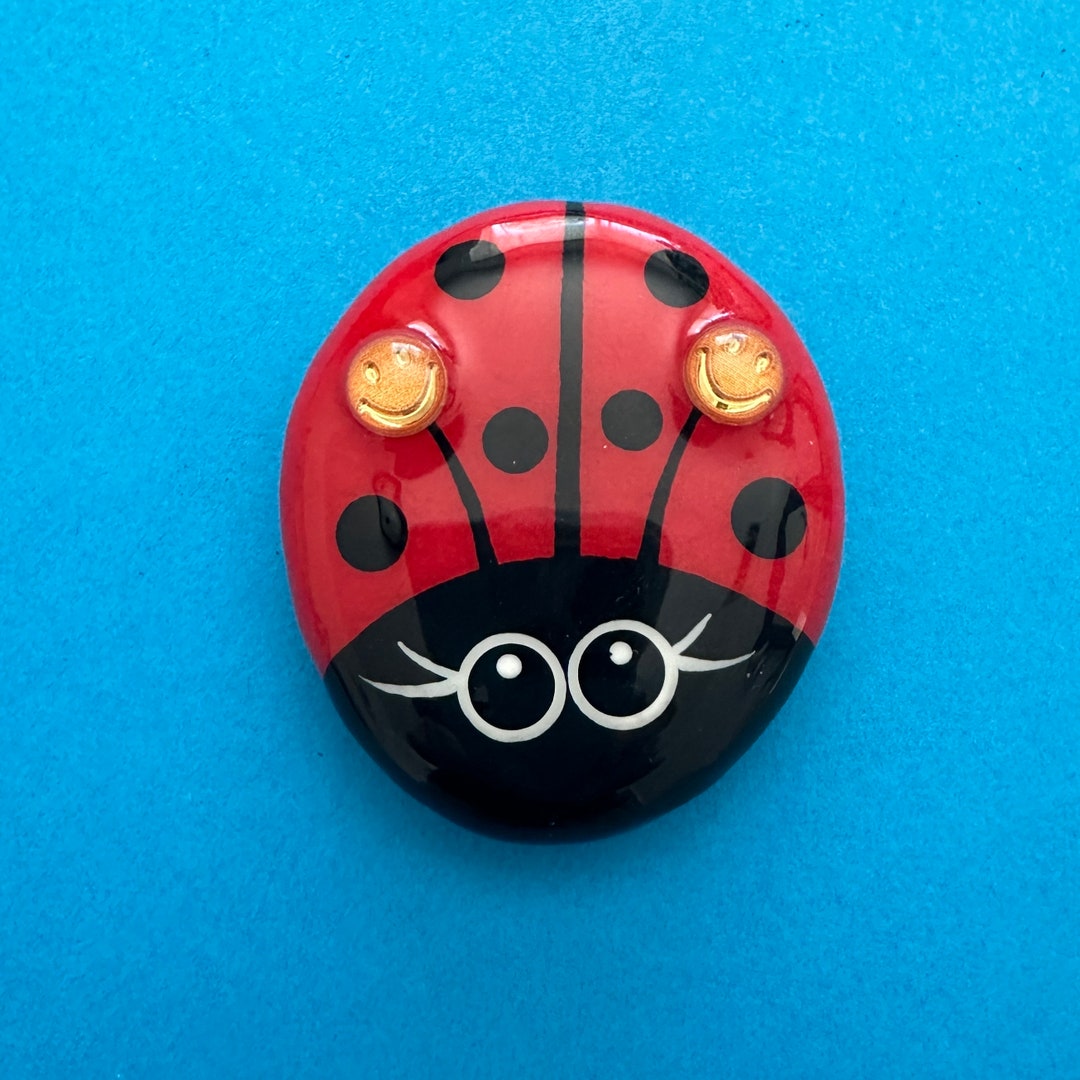 Smiley Face Lorybugrocks Ladybug - Etsy