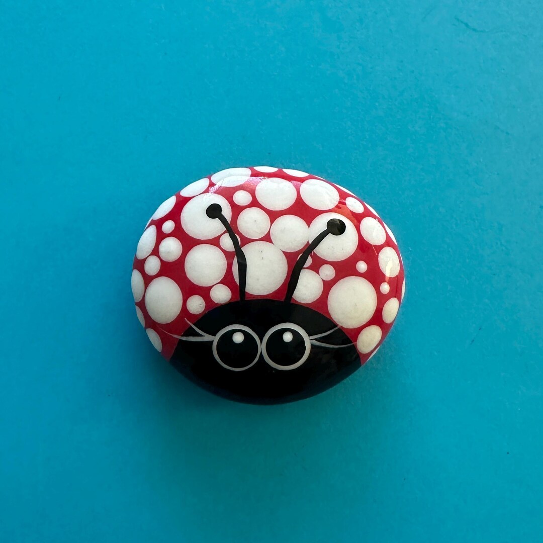 Dotty Lorybugrocks Ladybug - Etsy
