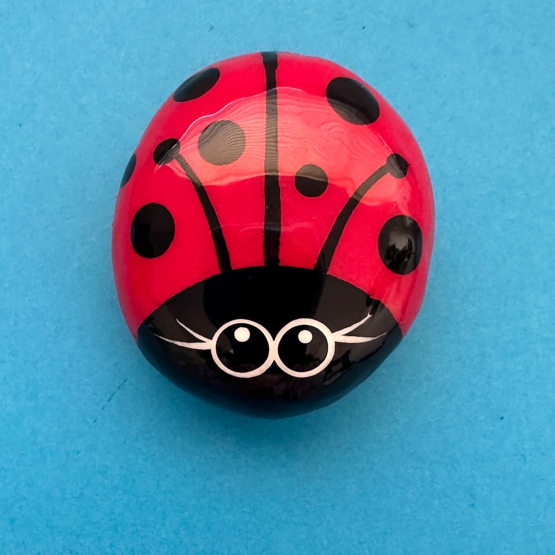 Large Lorybugrocks Ladybug - Etsy