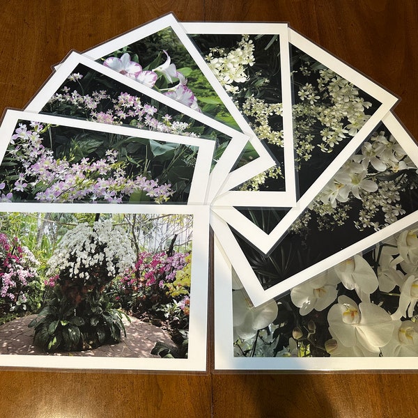 Laminated Photo Placemats - Etsy