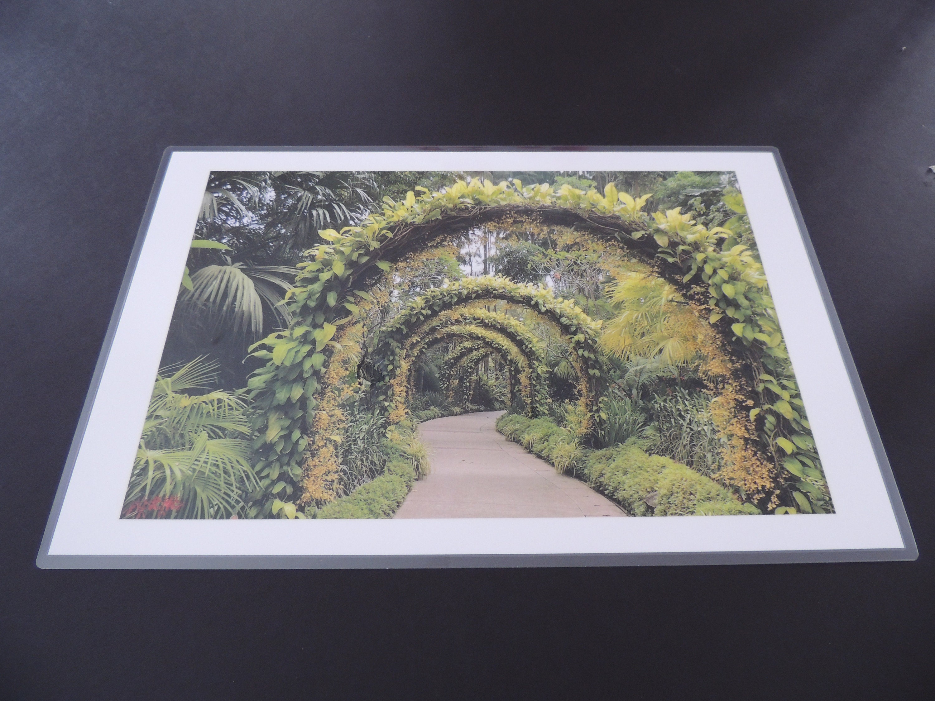 Greenery Laminated Placemats, Photo Waterproof Mats, 12X18 Sets of 4, 6 ...