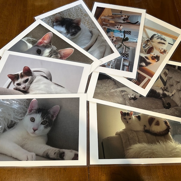 Cat Table Place Mats - Etsy