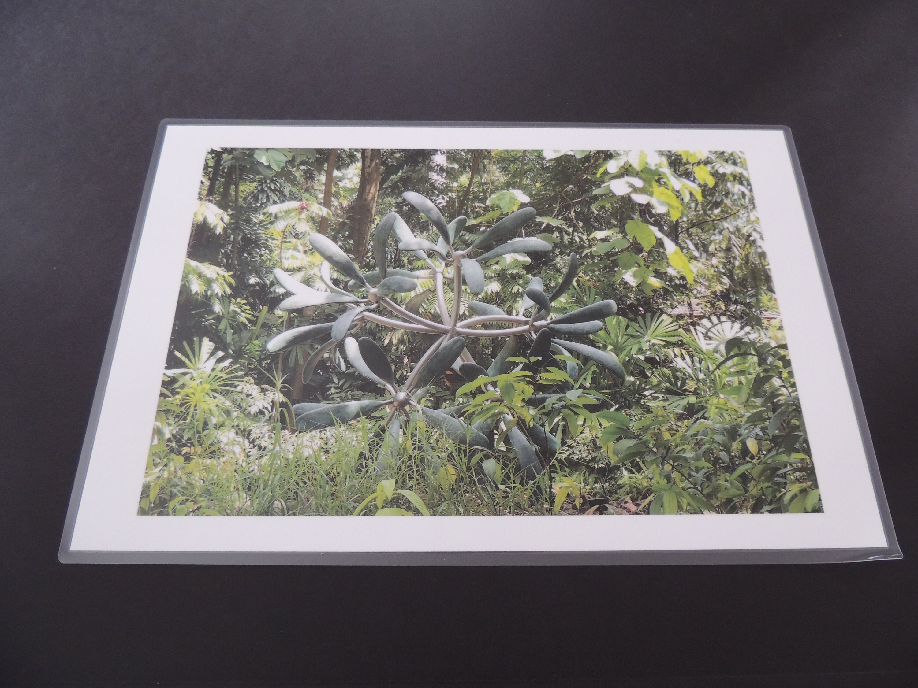 Greenery Laminated Placemats, Photo Waterproof Mats, 12X18 Sets of 4, 6 ...