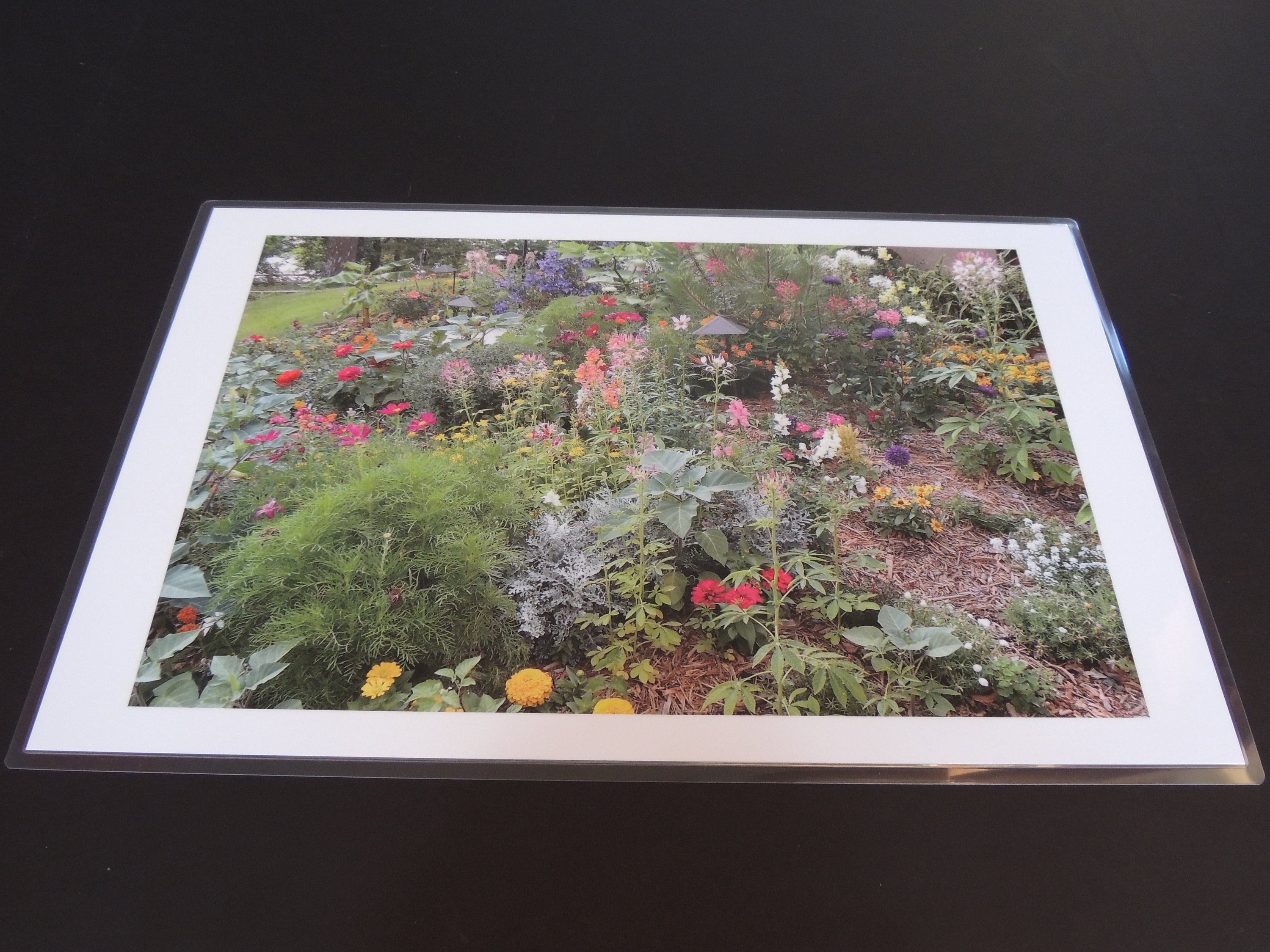 Yellow and Orange Laminated Placemats, Plastic 12X18 Waterproof Mats ...