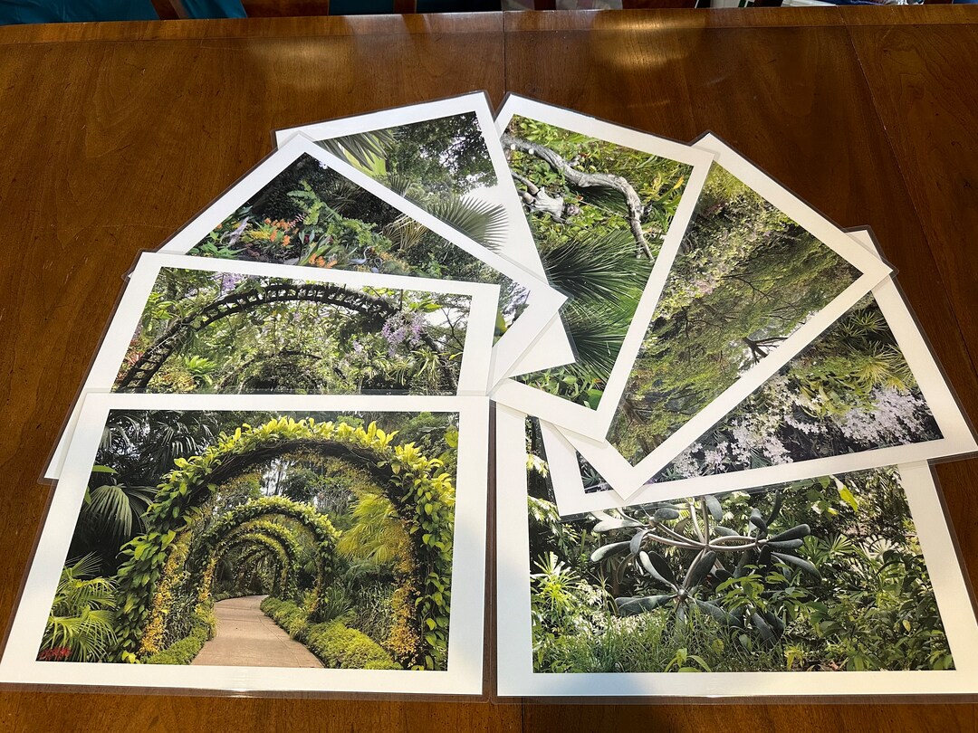Greenery Laminated Placemats, Photo Waterproof Mats, 12X18 Sets of 4, 6 ...