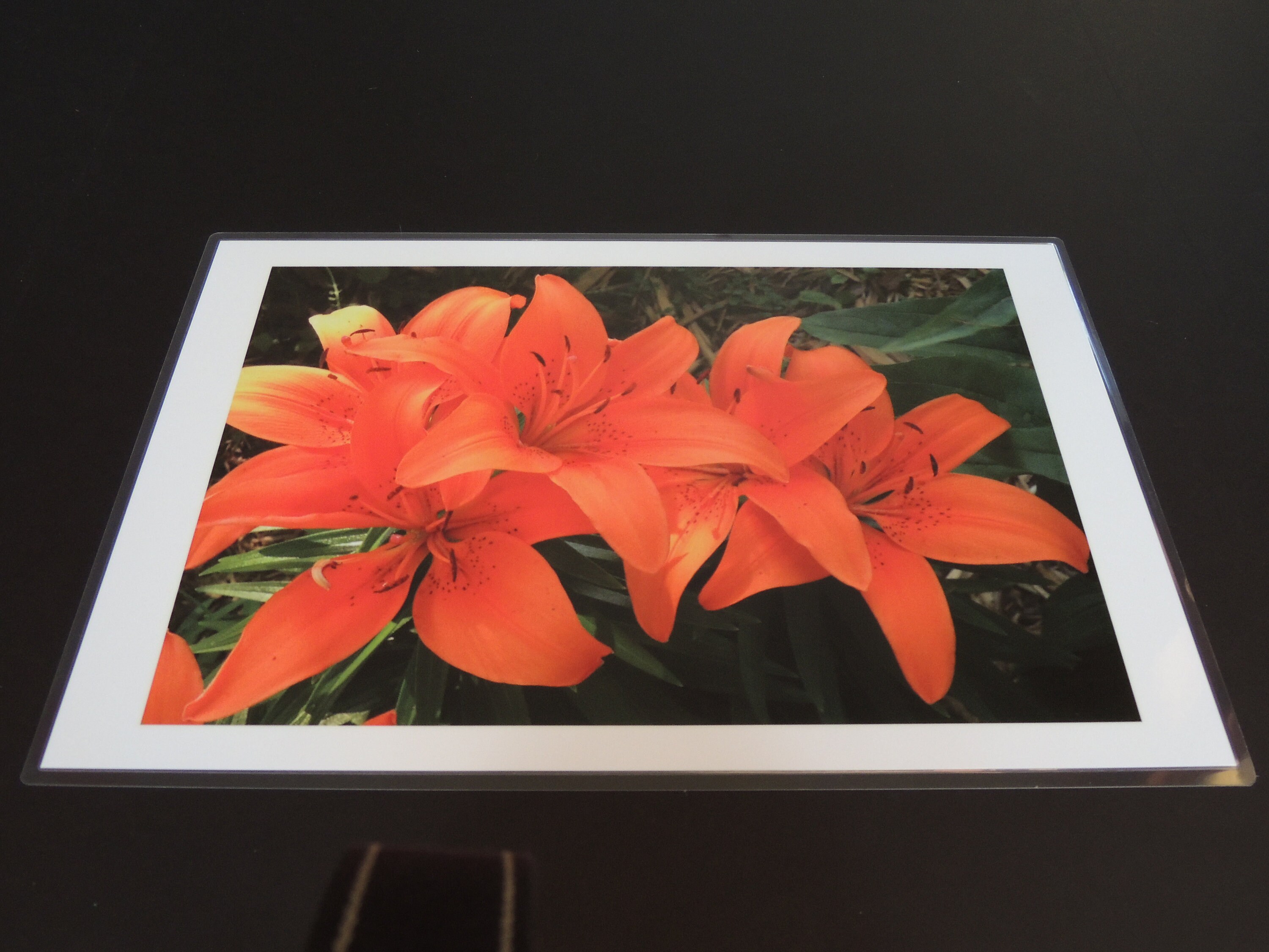 Yellow and Orange Laminated Placemats, Plastic 12X18 Waterproof Mats ...