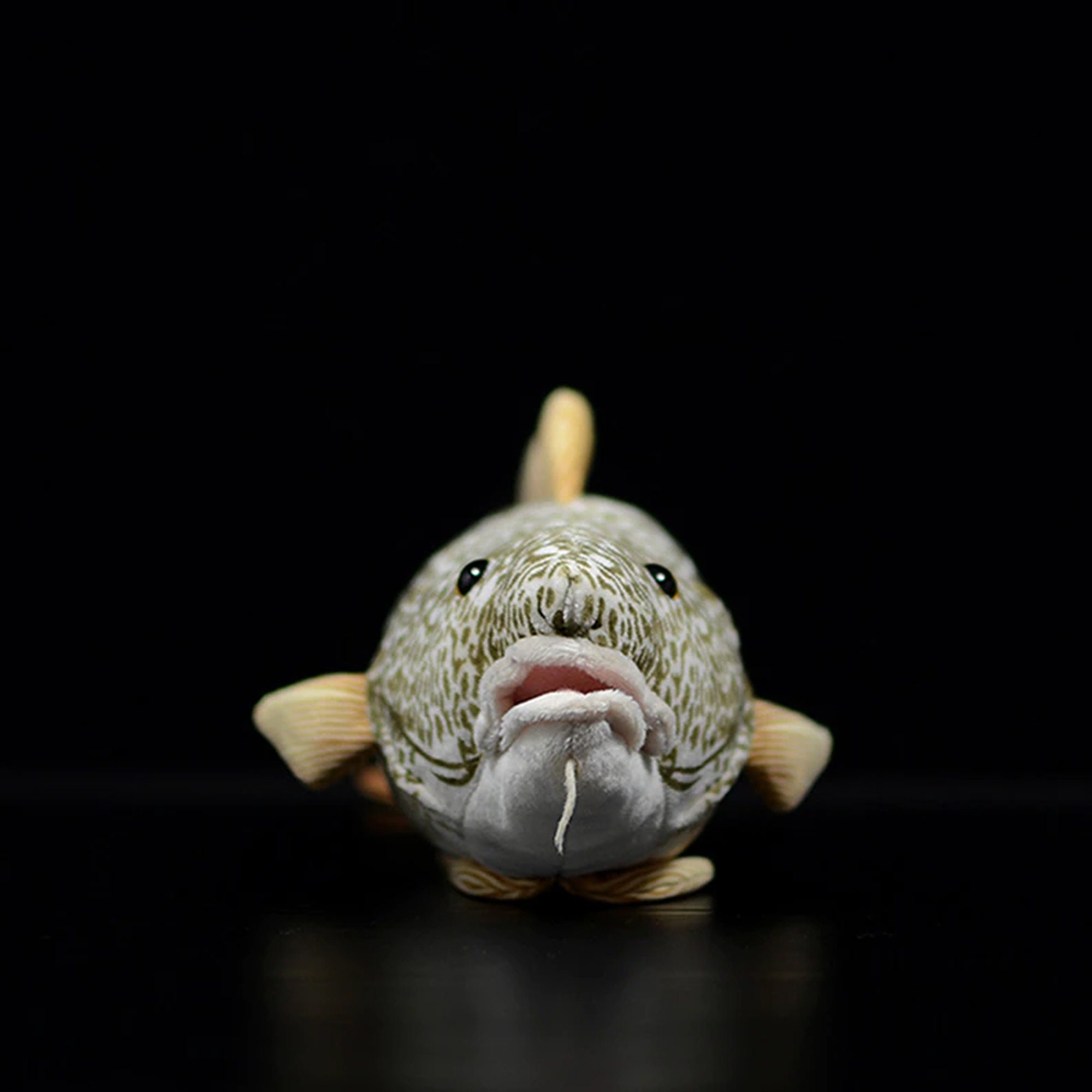 Realistic cod fish plush toy very cute and adorable toy. A | Etsy