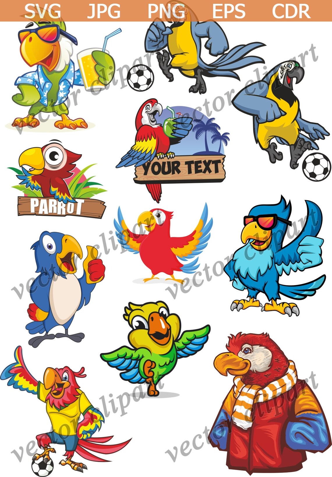 Parrot SVG, Parrot Clipart, Parrot Svg File, Parrot Vector, Svg, Circut ...